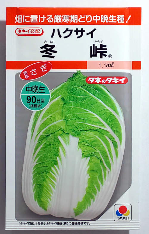 【特徴】●病気に強く耐寒・低温肥大性にすぐれる冬どりの中晩生種です。●外葉・玉ともに濃緑色で球頭は包被します。玉は尻張り・胴張りのよい円筒形です。●適期栽培では、3kg程度に太ります。【栽培のポイント】●生育が旺盛なので極端な早まきは避けて...