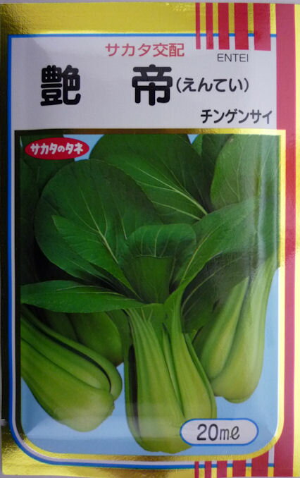 【特徴】●耐病性にすぐれる中〜大柄のチンゲンサイです。●葉色がきわめて濃いのが特徴です。生育は早生で草姿は立性、葉は細長く、葉枚数が多いです。葉柄はやや長めで首部のしまりがよいです。●温暖地で3〜4月まき、9月〜11月の秋まき向きです。節間...