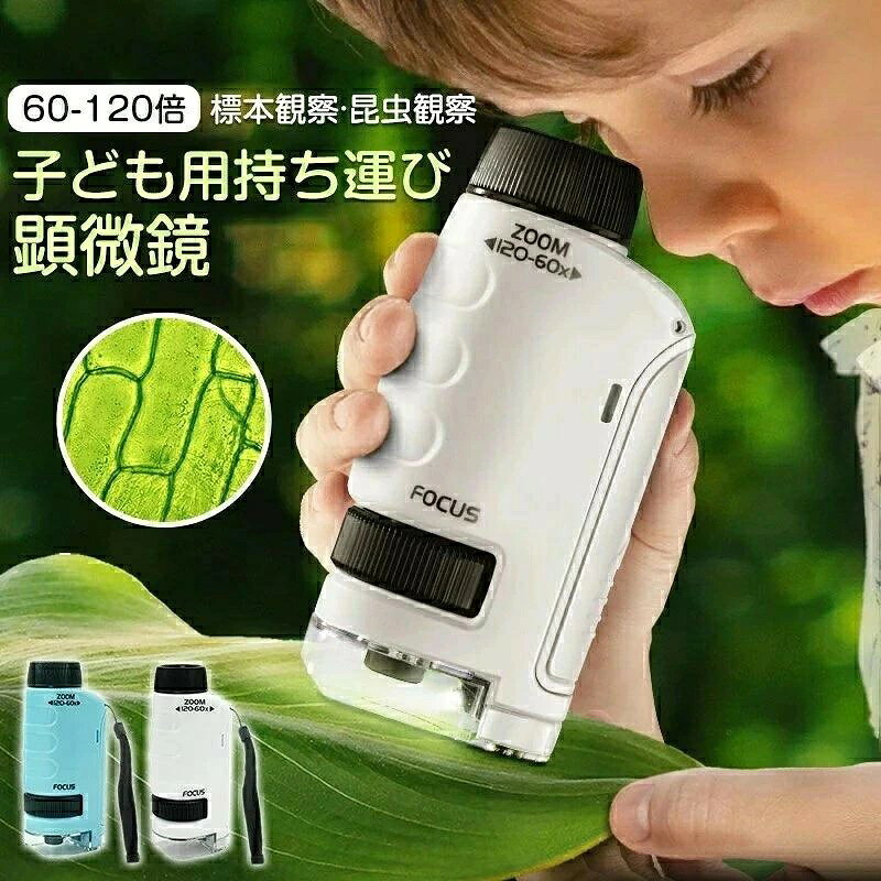 名称:科学顕微鏡セット 使用年齢:6歳以上 サイズ:4.6x3.3x9.3cm 重さ:99g 外装:11x15.8x4cm 注意: パッケージは英文もしくは中文表記となります。 輸入品の為、輸送の際に生じるキズ汚れ箱潰れがある場合がございま...