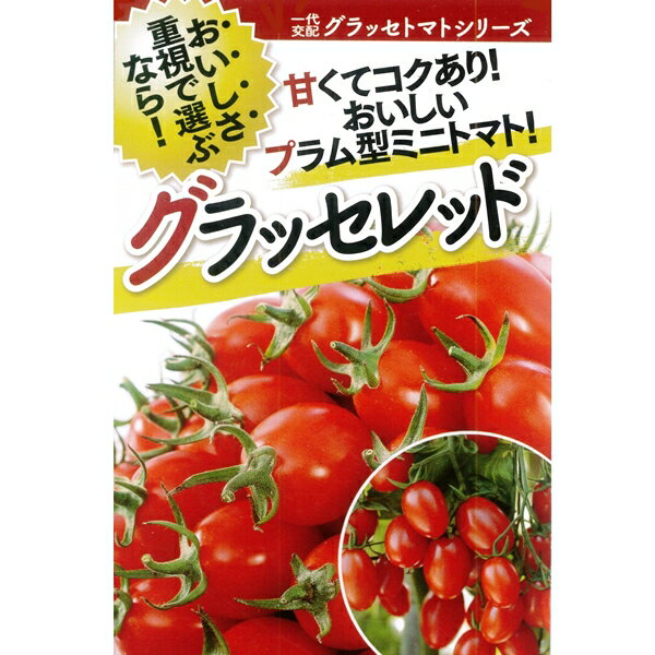製品仕様 商品名 グラッセレッド 小袋 名称 トマト種子  内容量 20粒 産地名 ミャンマー 商品説明 果重18〜23g、糖度9〜10度、 甘さとコクの中に少しの酸味がありトマトの風味豊か。 裂果が少なく揃いが良いの...
