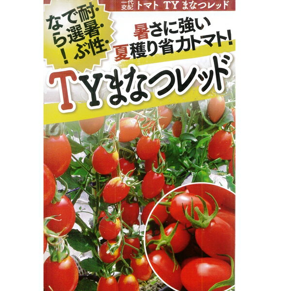 製品仕様 商品名 TYまなつレッド 小袋 名称 トマト種子  内容量 小袋（10粒入り） 産地名 タイ 商品説明 春まき初夏〜初秋獲り専用の耐病性プラム型ミニトマト。 半芯止まり性で側枝（わき芽）の摘除が必要無く省力栽...