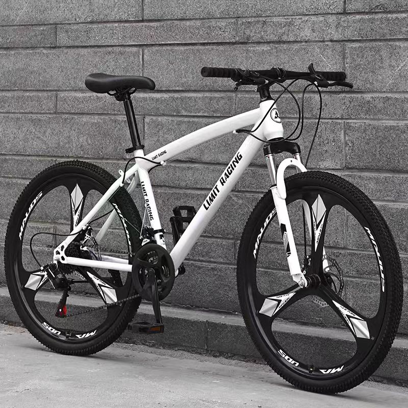 自転車 バイク 極太タイヤ マウンテンバイク 太いタイヤ 21 24 27 30段変速 24インチ 26インチ スポーツアウトドア メンズ レディース MTB R 5色
