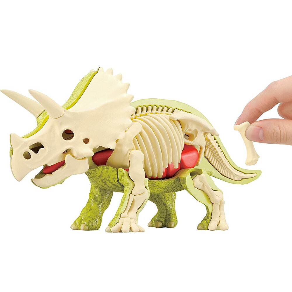 解体(かいたい)パズルにサイエンスシリーズが新登場！ 遊びながら学べ「トリケラトプスを復元(ふくげん)できるパズル」です。 ばらばらの34パーツを組んでトリケラトプスを完成させよう！見る角度(かくど)で生体(せいたい)と骨格(こっかく)、2...