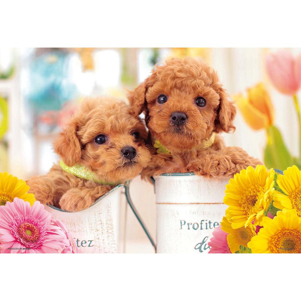 ピース数：500スモールピース サイズ：38×26cm パネルNo.：031