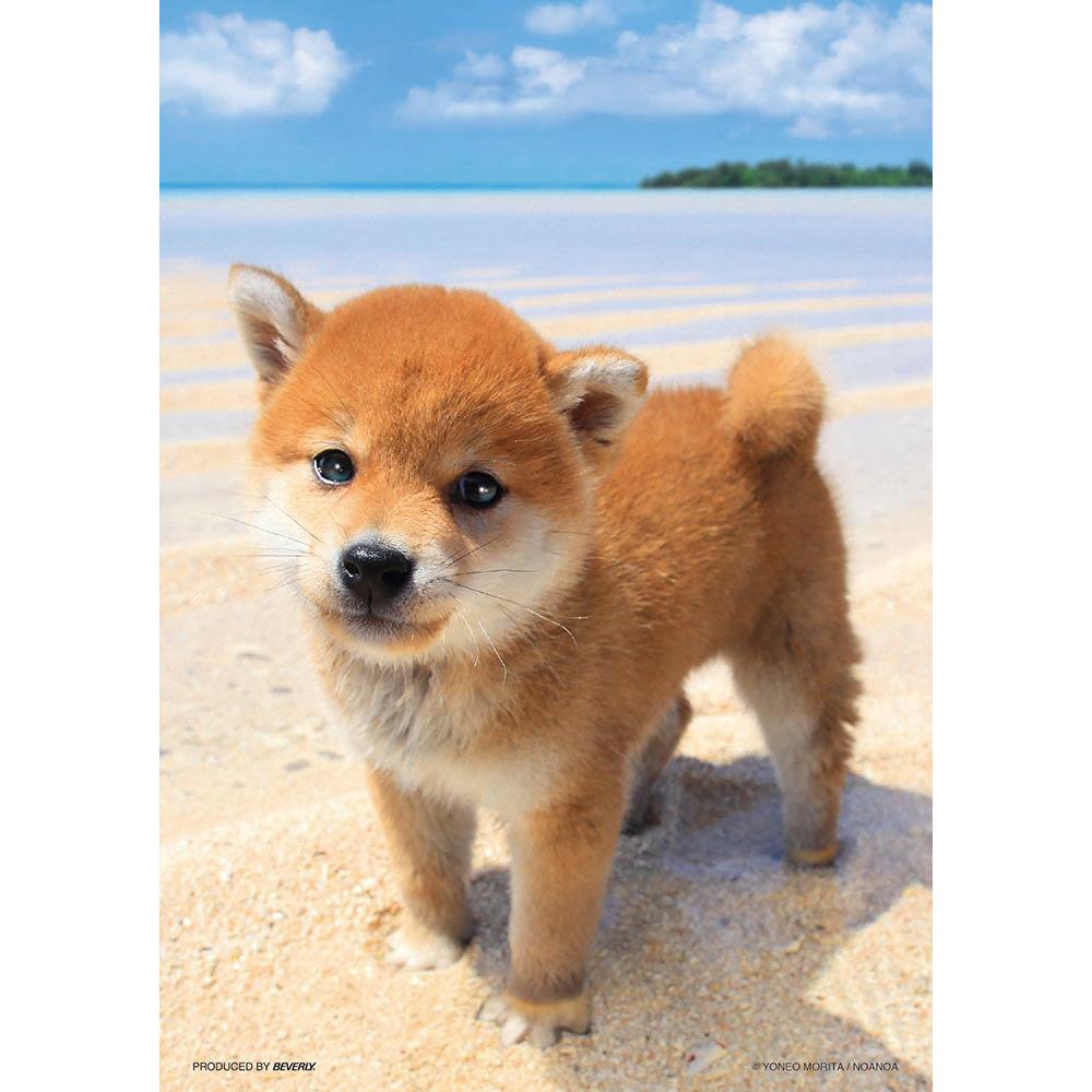 ピース数：108ピース サイズ：25.7×18.2cm パネルNo.：008