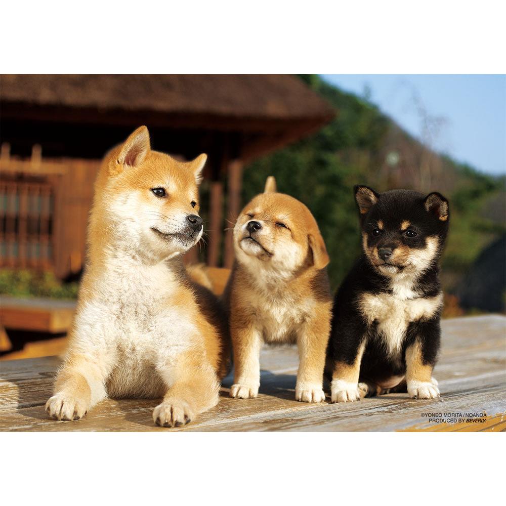 ピース数：88ピース サイズ：25.7×18.2cm パネルNo.：008