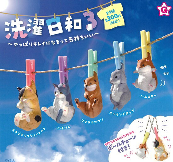 【メーカー名】エール【商品内容】・エキゾチックショートヘア・ハチワレ・コツメカワウソ・ホーランドロップ・ハムスター※ご注文後のお客様都合によるキャンセルは不可です。