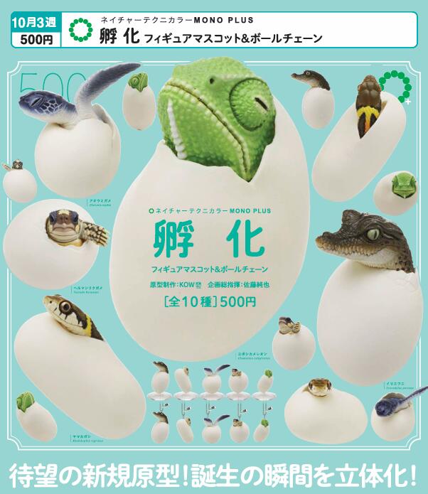 卵から生き物が誕生する瞬間を立体化した、ネイチャーテクニカラーMONO PLUSの新規原型シリーズです。【メーカー名】いきもん【スペック】発売月：2026年10月種類数：全10種JAN：4573153643425【商品内容】・イリエワニ（マ...