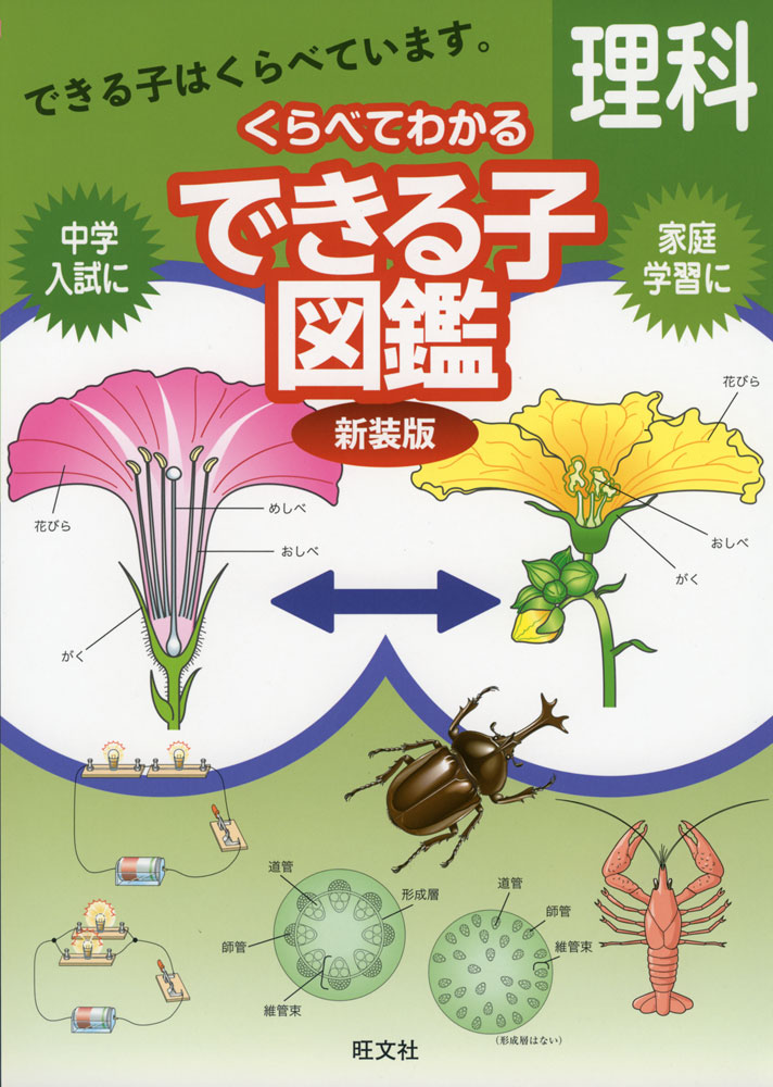くらべてわかる できる子図鑑 理科 新装版ISBN10：4-01-011463-0ISBN13：978-4-01-011463-6著作： 出版社：旺文社発行日：2023年3月15日仕様：B5判対象：小学向似ているものやまぎらわしいものどうし...