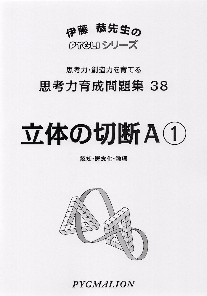 伊藤恭先生のPYGLIシリーズ思考力育成問題集 38 立体の切断A(1)思考力・創造力を育てるISBN10：4-903112-74-8ISBN13：978-4-903112-74-9著作： 出版社：ピグマリオン発行日：2023年1月1日仕様...