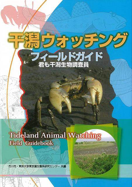 （バーゲンブック） 干潟ウォッチング フィールドガイドISBN10：ISBN13：著作：市川市・東邦大学東京湾生態系研究センター 出版社：誠文堂新光社発行日：仕様：A5判対象：一般向干潟で観察することができる生物とその生態の観察方法を、わか...