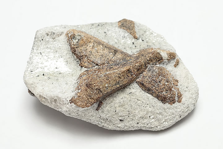 6.0×4.1×2.4cm 60度の角度で交差している十字石の双晶です。 キリスト教圏では大変人気があり、魔除けなどに用いられ、中世の十字軍はこの石をお守りにしたと伝わっています。 Keivy, KolaPeninsula, Russia　