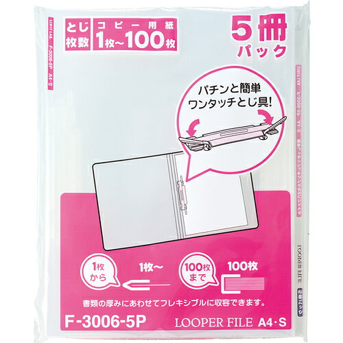 【特長】●簡単操作でしっかりとまるスリムタイプの2穴ファイルです。【仕様】●用紙サイズ：A4●とじ厚(mm)：10●収納数(枚)：100●色：乳白●穴数：2穴●穴間隔(mm)：80●縦(mm)：300●横(mm)：225●背幅(mm)：6●...
