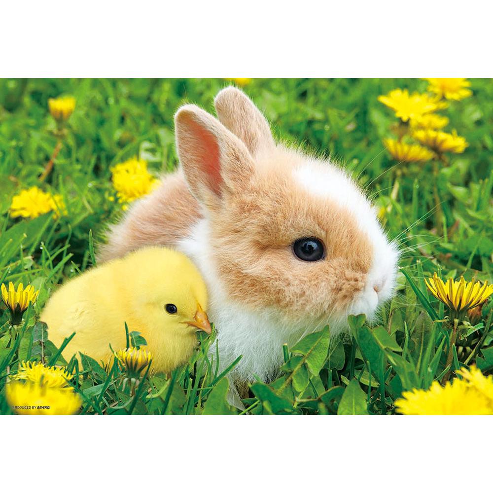 ピース数：300ピース サイズ：38×26cm パネルNo.：031