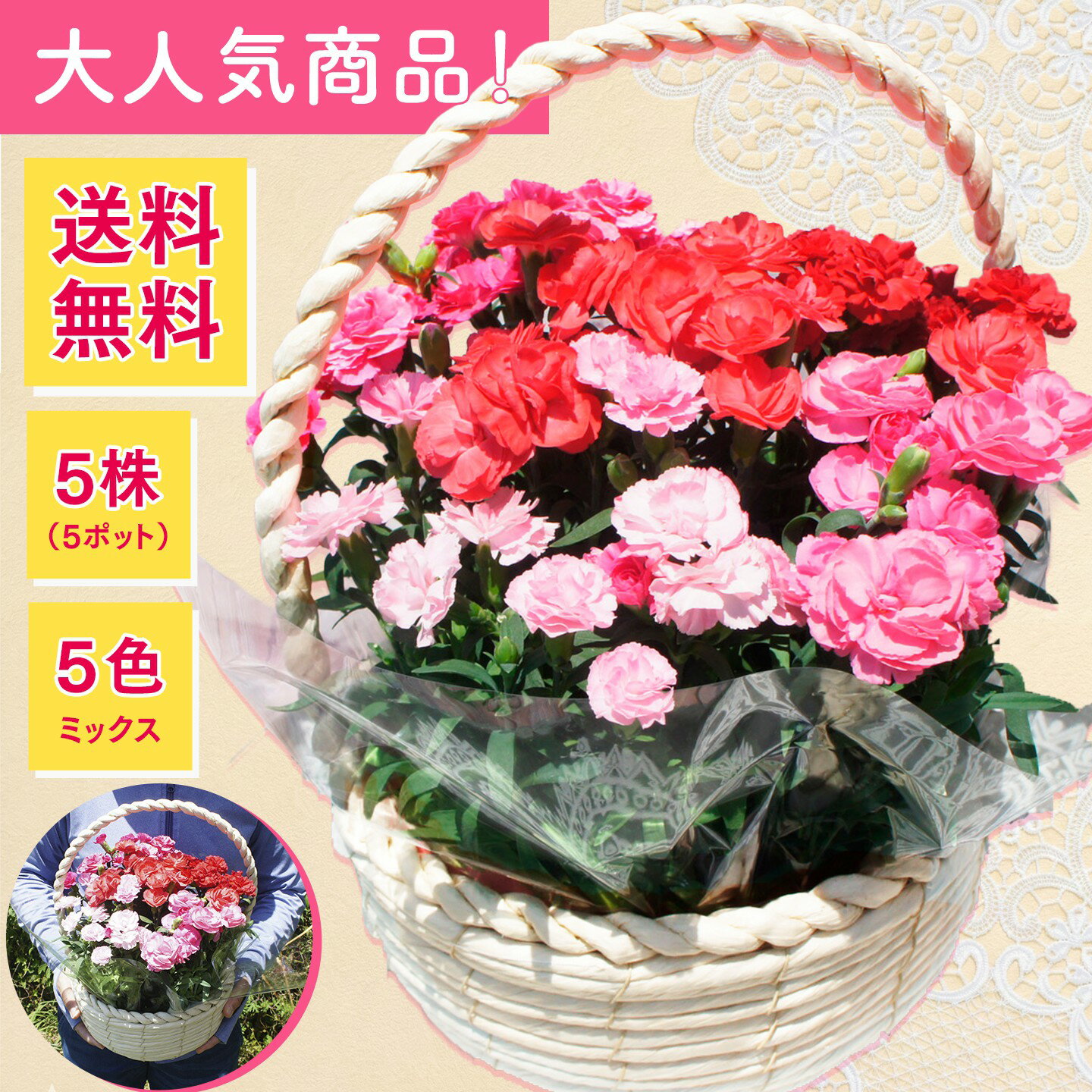 商品詳細 花色：5色ミックス 苗サイズ：3号ポット 数量：5株入り ※写真のようなバスケット状態で数日観賞いただいた後、中のポットを取り出して苗を植え替えていただくことでより長く楽しむことができます バスケット（かご）は 色、デザインが写真...