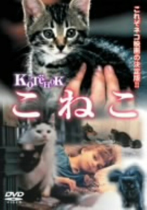 タイトル こねこ 旅するチグラーシャ 【DVD】 &nbsp; コネコタビスルチグラーシャ アーティスト名 アンドレイ・クズネツォフ ジャンル 洋画コメディ動物 発売日 2002/10/25発売 規格番号 IVCF-2070 JAN 493...