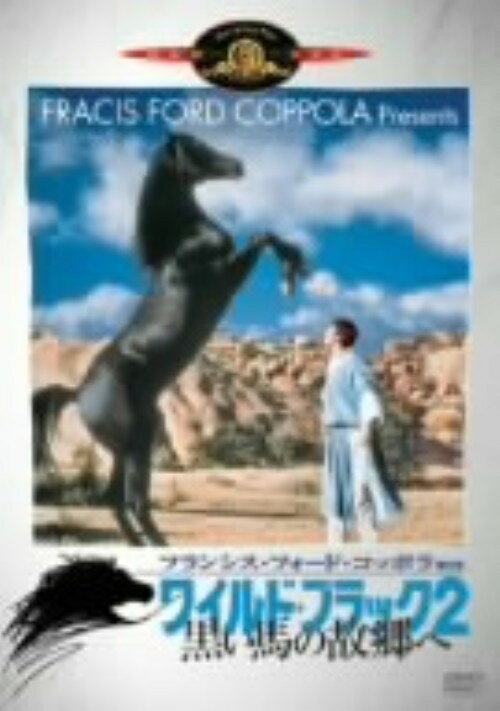 タイトル 期限）2．ワイルド・ブラック 黒い馬の故郷へ 【DVD】 &nbsp; ワイルドブラッククロイウマノコキョウヘ アーティスト名 ケリー・レノ ジャンル 洋画コメディファミリー 発売日 2003/12/19発売 規格番号 GXBJ-...
