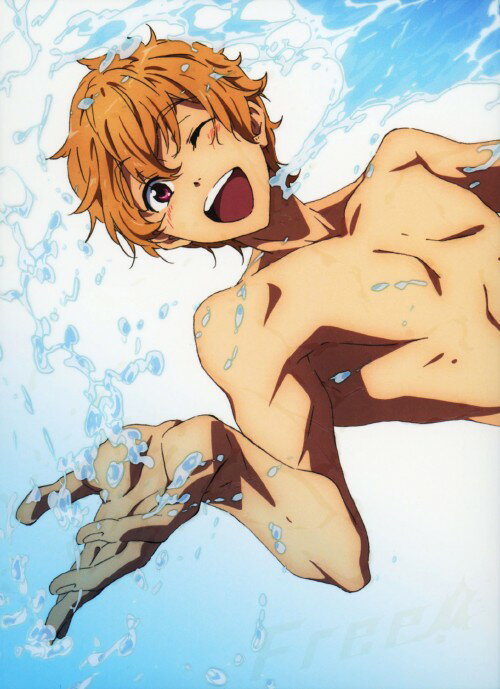 タイトル 3．Free！ 【DVD】 &nbsp; フリー アーティスト名 島崎信長 ジャンル OVA/ノベライズ原作 発売日 2013/11/06発売 規格番号 PCBE-54353 JAN 4988013454965 京都アニメーション...