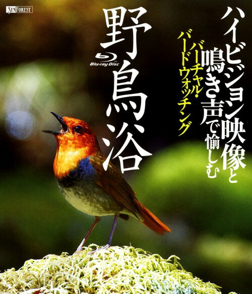 タイトル 野鳥浴 ハイビジョン映像と鳴き声で愉しむバー… 【ブルーレイ】 &nbsp; ヤチョウヨクハイビジョンエイゾウトナキゴエデタノシ ジャンル その他趣味 発売日 2011/04/21発売 規格番号 RDA-05 JAN 494597...