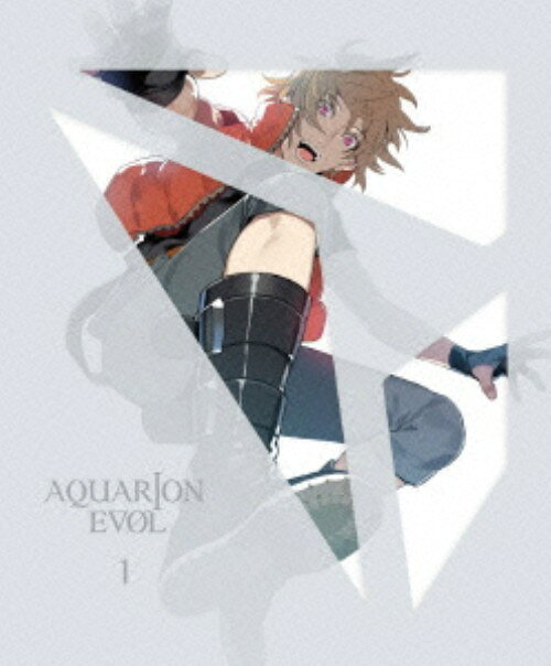 タイトル 1．アクエリオンEVOL 【DVD】 &nbsp; アクエリオンエヴォル アーティスト名 梶裕貴 ジャンル SF/ロボット 発売日 2012/04/25発売 規格番号 ZMBZ-7781 JAN 4935228116461 SFロ...