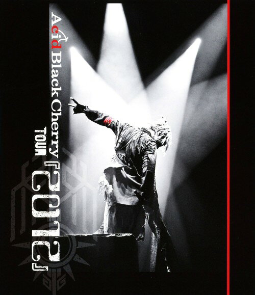 タイトル Acid Black Cherry／TOUR 2012 【ブルーレイ】 &nbsp; アシッドブラックチェリーツアーニセンジュウニ アーティスト名 Acid　Black　Cherry ジャンル 邦楽 発売日 2012/11/21発...