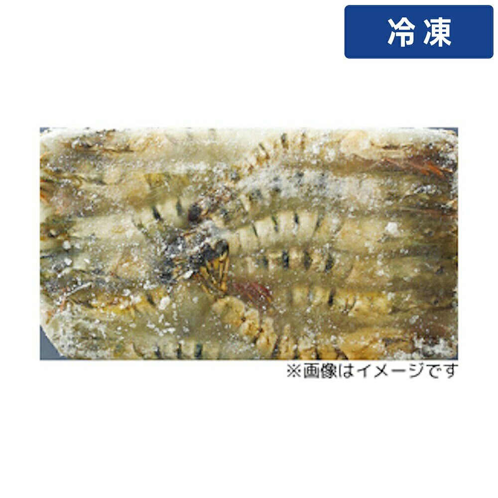 BT 有頭えび 20尾 01pc安心価格で厳選品質！プロの厨房を支える業務用食材専門店 ゲットマーケット