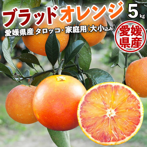 商品情報■商品名：　愛媛　ブラッドオレンジ 　家庭用　訳あり　5kg サイズ大小混合　愛媛県産　タロッコ・オレンジ【お買得品】送料無料 ■お届けの目安：　【3日～7日の順次出荷・お任せ】　※収穫によって遅れる場合がございます。 　※収穫状況...
