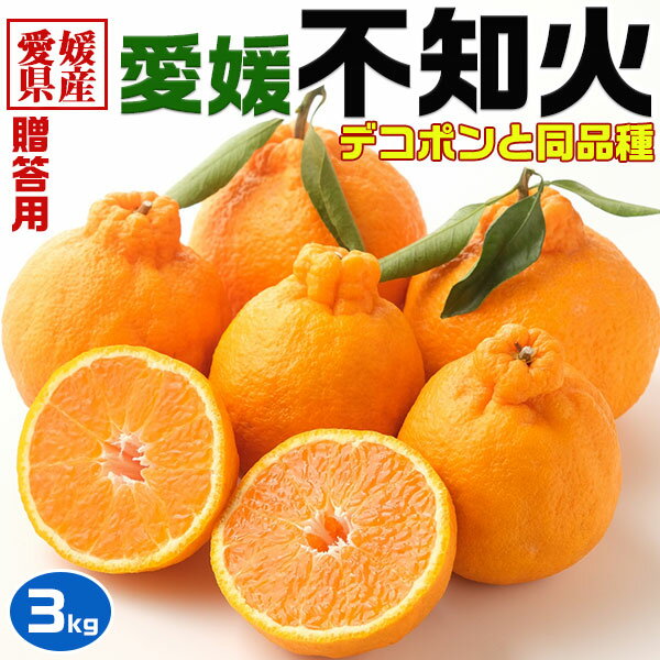 商品情報■商品名：　不知火　みかん しらぬい　秀品　3kg　1箱　愛媛県産・Lサイズ　15玉入り (デコポンと同品種)　贈答用ギフト【出荷日お任せ・指定日不可】送料無料 ■お届けの目安：　出荷日お任せ【2月中旬～3月中旬前後】　※収穫によっ...