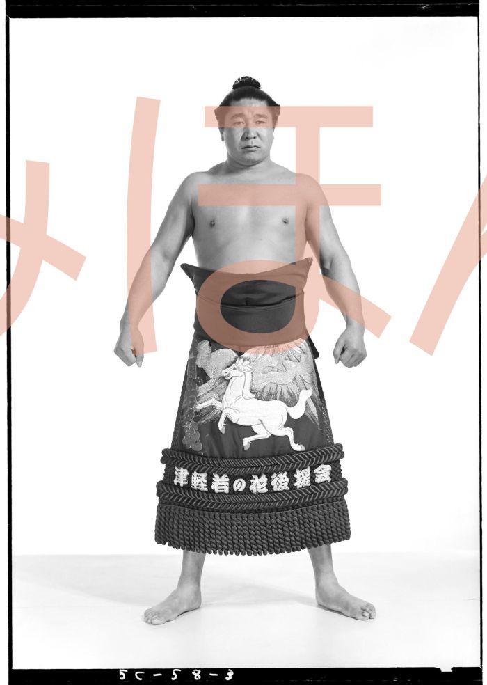 【毎日新聞社・大相撲優勝ミニ額について】 大相撲優勝ミニ額は、両国国技館に掲揚されている幕内優勝力士を顕彰する額（畳5枚分）をそのまま小さくした、毎日新聞社のオリジナル商品です（縦32cm、横23cm）。 額は各場所が終わるたびに、東京都内...