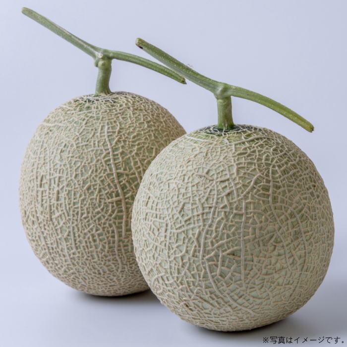 内容／1.3kg×2玉(熊本県又は愛知県産) 箱サイズ／294×152×194mm 【配送方法】　常温 【商品の出荷期間】　7月中旬～8月上旬 ※天候状況によりお届け期間が変更される場合もございますので、お届け日のご指定はお受けできません。...