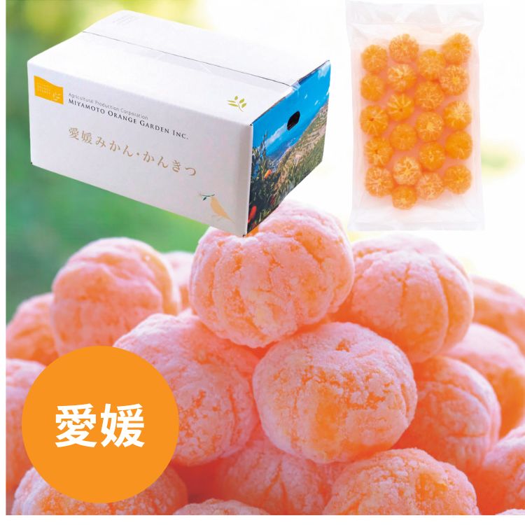 ミヤモトオレンジガーデン 冷凍みかん（皮なし）（1kg） 送料無料 ギフト 愛媛県産 みかん 温州みかん 冷凍 丸ごと 急速冷凍 凍眠冷凍 健康 フルーツ プレゼント 父の日 高級 お中元　御中元 愛媛県八幡浜市産の一番おいしい旬の時期のみ...