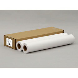 商品説明発売日：2013年10月下旬■製品サイズ:594mmx45M(2巻/箱)■紙厚:112μ■坪量:90g/m2■白色度:95%商品詳細製品タイプ汎用紙対応プリンタタイプインクジェットプリンタカットタイプロール紙H049681 類似商品...