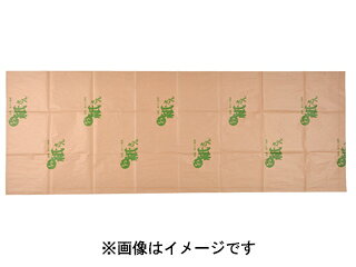 商品説明サイズ(cm)：3帖用（101×280×2枚）　厚み(mm）：1素材：クラフト紙機能：抗菌・防ダニ洗濯：洗濯機不可すべり止め：なしホットカ−ペット床暖房：対応原産国：日本敷物の下に敷くだけで、ダニの発生・キズ・汚れを防止する保護シー...
