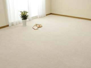 商品説明サイズ(cm)：176×261　厚み(mm）：5素材：ポリエステル100％・裏面：不織布機能：抗菌・防臭洗濯：洗濯機不可すべり止め：なしホットカ−ペット床暖房：対応原産国：日本弾力性があり復元性にすぐれていてへたりにくい。ふかふかと...