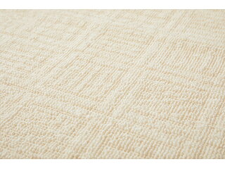 商品説明サイズ(cm)：261×352　厚み(mm）：3素材：ポリエステル100％機能：軽量洗濯：洗濯機不可すべり止め：なしホットカ−ペット床暖房：対応原産国：日本超軽量カーペット。一人暮らしでも持ち運び簡単。弾力があり復元性に優れていてへ...