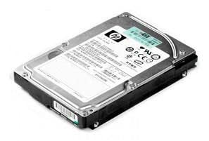 HP HDD 3.5 1Tb SGT ファラオ オアシス 827977-002 3.5インチ 1000GB 827977-002 (827977-002 3.5 1000GB 7200RPM )