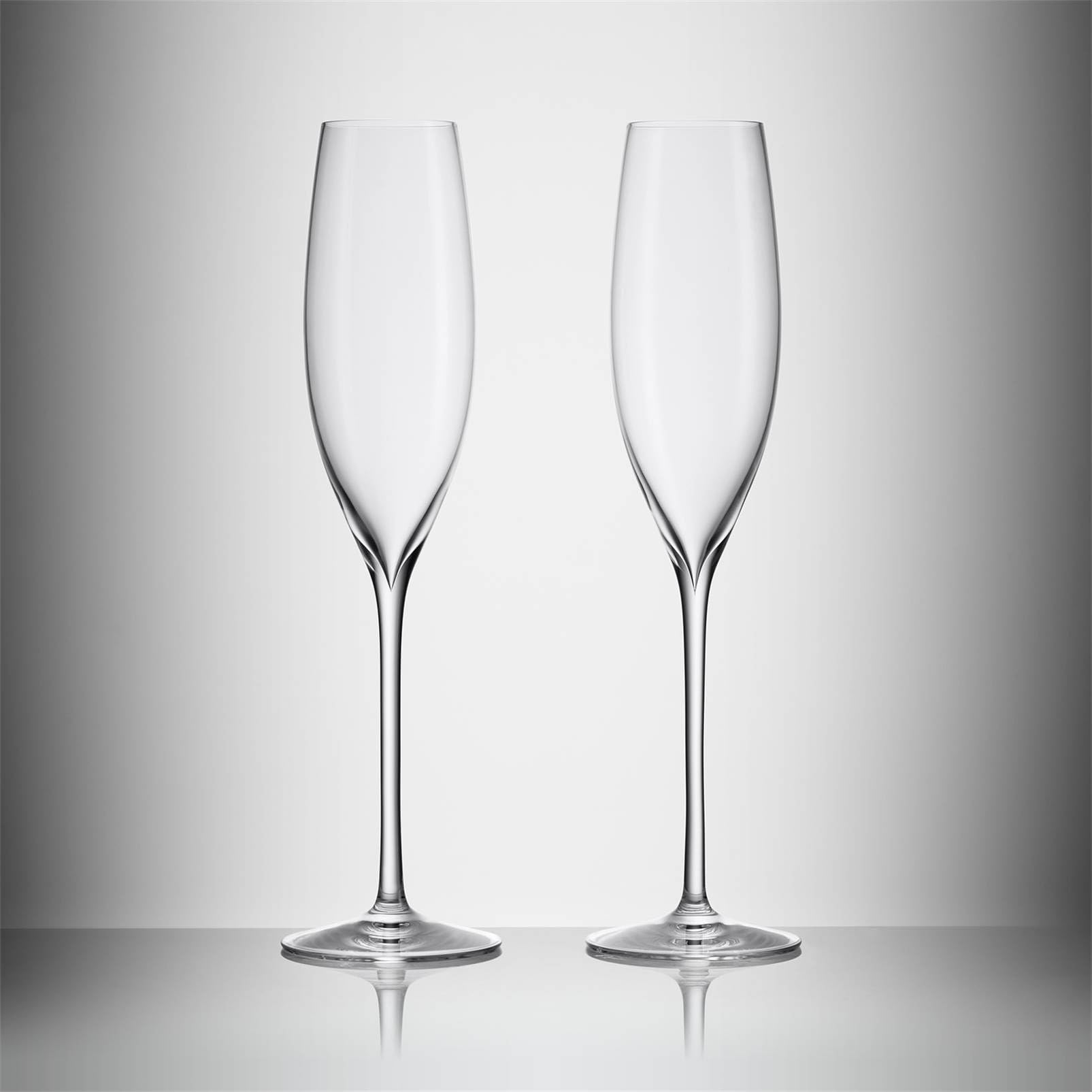 Elegance Champagne Classic Flute (Set of 2) by Waterford