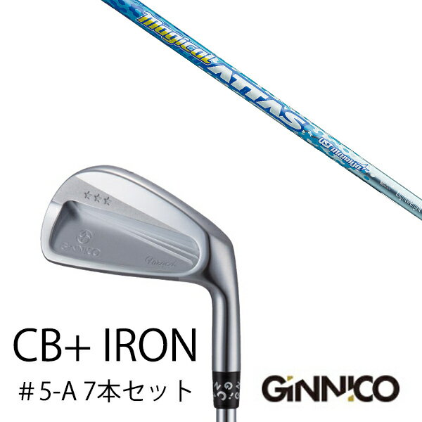 7本セット/イオンスポーツ ジニコ GINNICO CB+ Iron #5-A/スチールファイバー Hツアー シリーズ トゥルーテンパー/EONSPORTS 打感・操作性・安定性◎抜け目ないヤバいギア GINNICO CB+ IRON番手　...