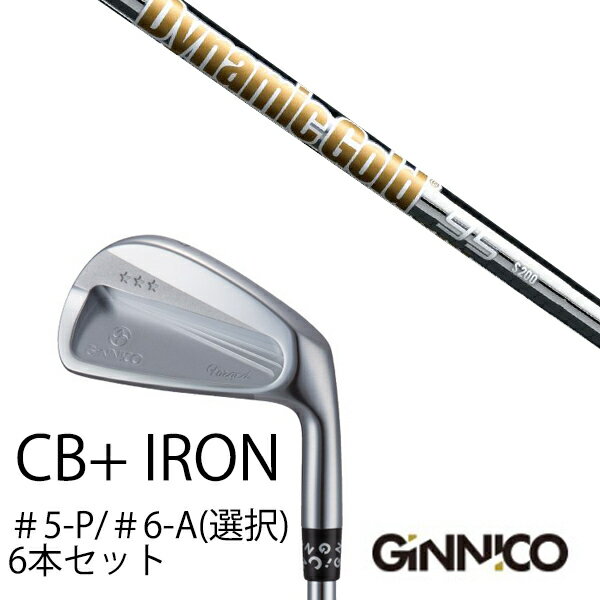 6本セット/イオンスポーツ ジニコ GINNICO CB+ Iron #5-P ＃6-A 番手選択/ダイナミックゴールド 95 DG95 トゥルーテンパー/EONSPORTS 打感・操作性・安定性◎抜け目ないヤバいギア GINNICO CB...