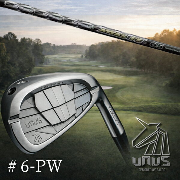 BALDO UNUS MODEL MCB FORGED IRON 番手 #5/#6/#7/#8/#9/PW/GW ロフト角 24°/27°/30°/34°/38°/42°/47° ライ角 60.5°/61°/61.5°/62°/62.5°/...