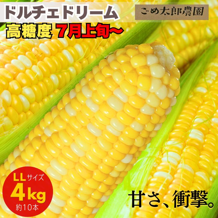 商品情報名称とうもろこし品種ドルチェドリーム産地名和歌山内容量約4キロ（LLサイズ 10～12本程度）保存方法冷蔵庫で保存※到着後早めにお召し上がりください。特徴ごめ太郎農園自慢の《ドルチェドリーム》　【超高糖度】【高風味】【一番果のみ】食...
