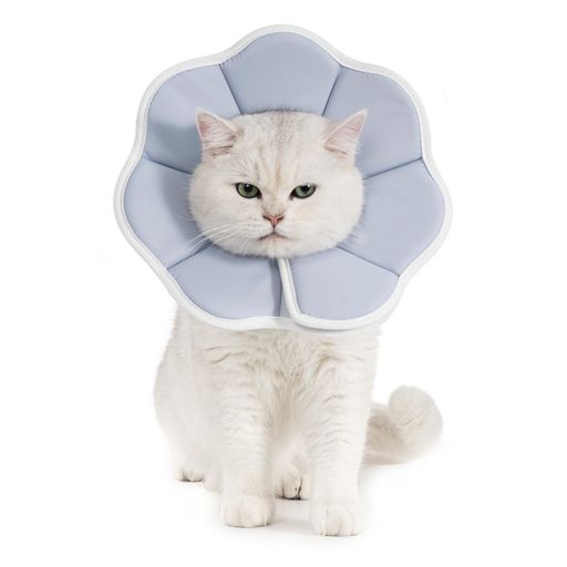 傷舐め防止 🐱【ペットに優しいデザイン】ペットの視界をクリアに保ち、通常の習慣に影響を与えることがありません。不安を軽減することによってより穏やかな回復体験を提供します。 🐱【安全で快適な面ファスナー】調整が...