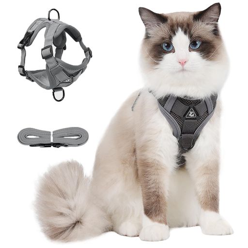 Paipeper猫ハーネス胴輪リード抜けないダブルロック猫用品オシャレ小型犬兼用反射素材かわいいメッシュ軽量通院災害避難お散歩10色展開 【選べる明るくて元気な10カラー】ライトブルーやローズピンク、オレンジなど、写真映えするビビッドカラー...