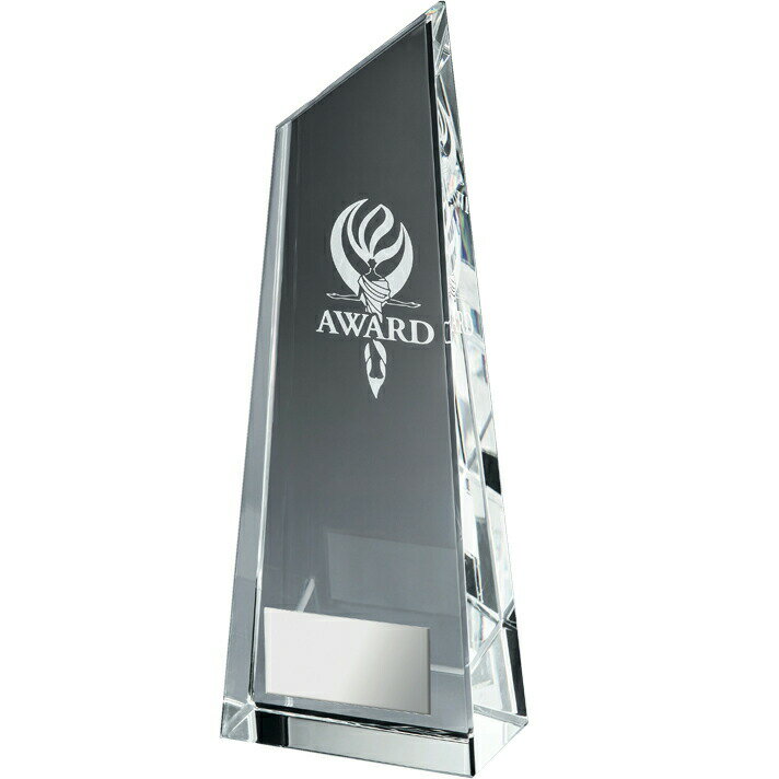 こちらの商品はタイプ：Bのみの販売となります。 215mm（高さ）約875g（重さ）プレート：28×55 光学ガラス・裏サンドブラスト ※光学ガラス製品は1個ずつ手加工の為、製品サイズに若干の誤差があります。 優勝 トロフィー 景品 ゴルフ...