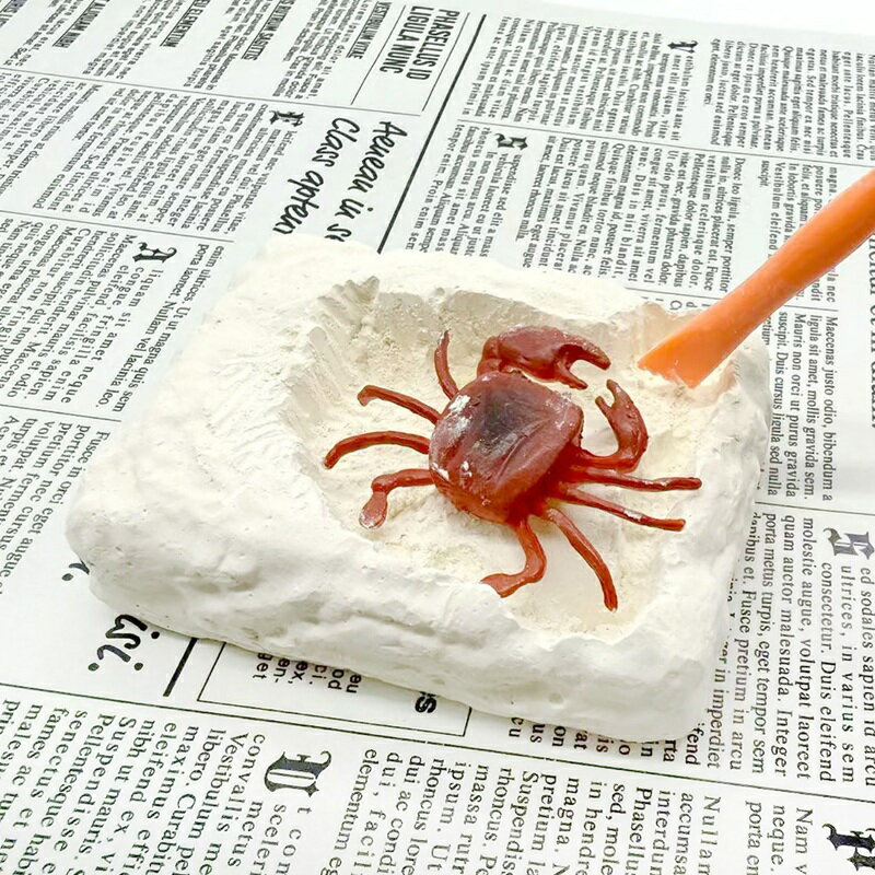 商品説明 【商品名】発掘！海洋生物コレクション 【18個セット】 【商品サイズ】 パッケージサイズ：H70xW90xD28mm 【色】12種ランダムアソート。色・柄の指定は出来ません。 【注意事項】こちらの商品は業務用商材の為、不良品が出た...