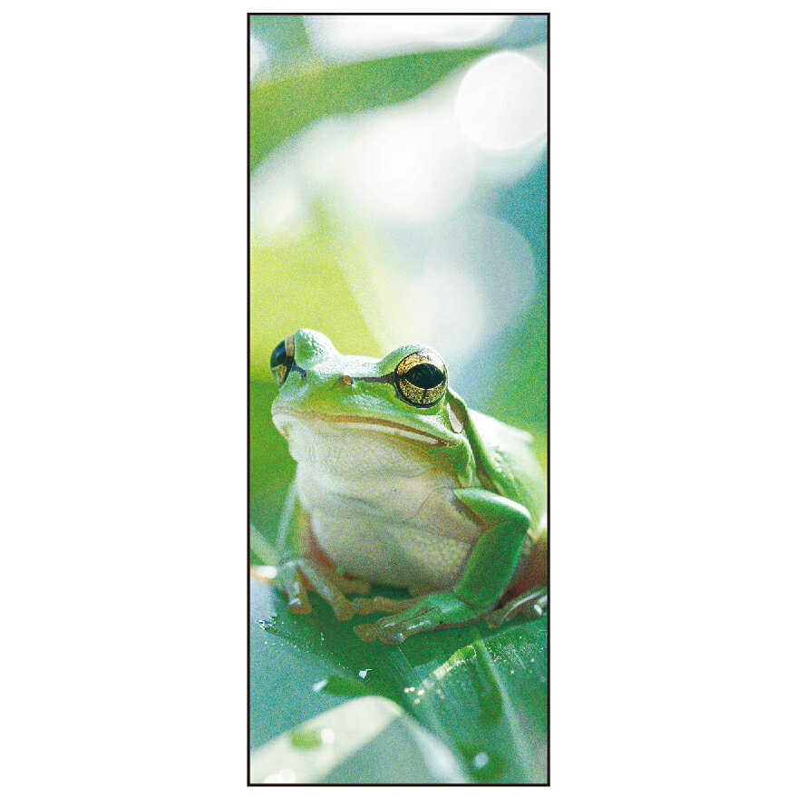 てぬぐいとしてはもちろん、季節感あふれるインテリアとしても好評です。 ◆サイズ：約35cm×90cm (布の伸縮により多少の誤差があります)端を縫わない ”切りっぱなし” 仕様の、昔ながらのてぬぐいです。 ・ほつれは自然と止まりますので、適...
