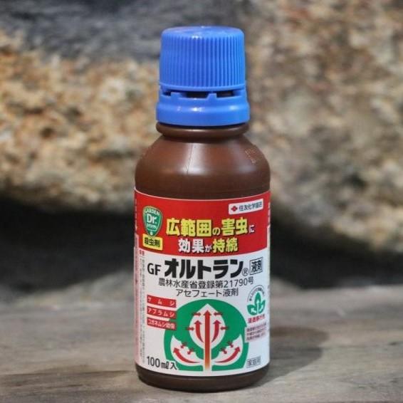 GF オルトラン液剤 100ml 住友化学園芸 園芸用 殺虫剤 浸透移行性 広範囲の害虫に効果が持続！ 背の高い庭木や広い面積で使いやすい液体タイプの浸透移行性殺虫剤です。 【使用方法】 水で規定の倍率にうすめて散布する 有効成分：アセフェ...