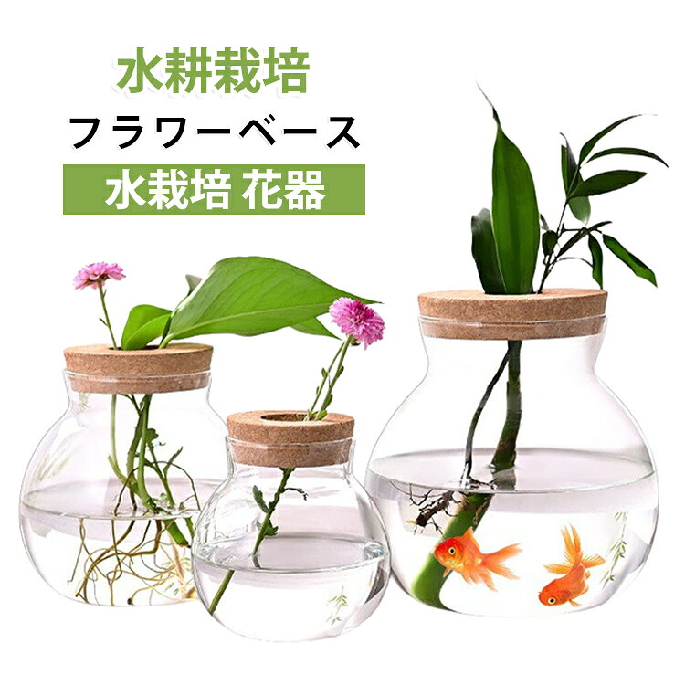 シンプルなガラス製水栽培花瓶で、インテリアとしても映えるデザイン。穴あき蓋付きで水耕栽培がはじめやすく、ポトスや観葉植物の育成に最適。土を使わないので、テーブルやキッチンでも汚れを気にせずクリーンに愉しめます。コンパクトなサイズのため、ちょ...