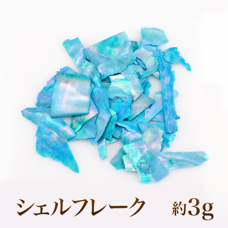 &nbsp; &nbsp; &nbsp; &nbsp; ジェルネイルアートに！約3g入り シェルフレーク1 &nbsp; ジェルネイルアートに！約3g入り シェルフレーク2 &nbsp; ジェルネイルアートに！約3g入り シェルフレーク3 ...