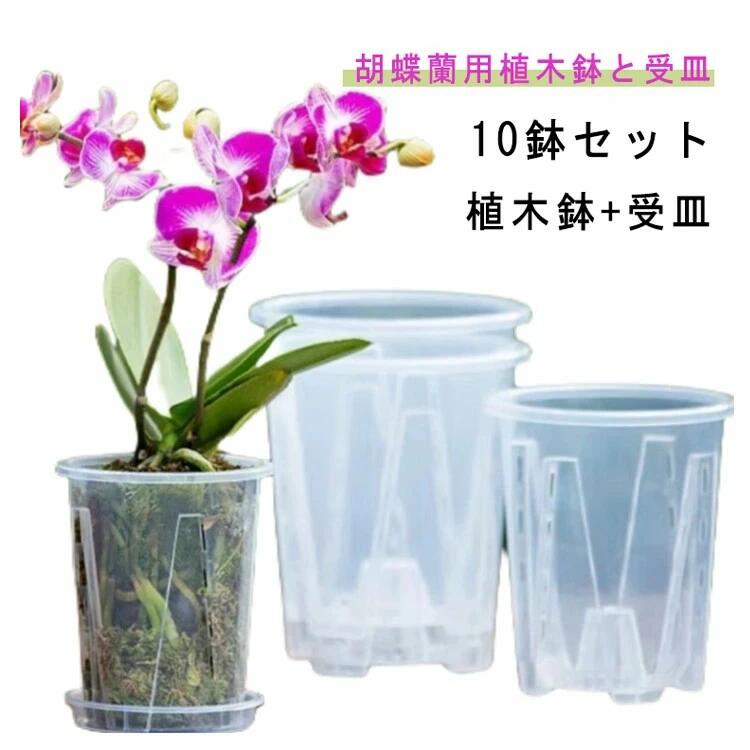 【胡蝶蘭用植木鉢と受皿 10鉢セット】鉢底とサイドに穴がたくさん空いているため通気性に優れています。鉢の中についた柱は胡蝶蘭の根腐れを防止できます。観葉植物の植え替えにお勧め！透明なので、生育中の根の動きが見える！水の乾き具合も外から確認で...